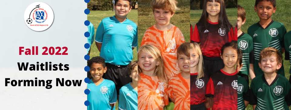 Home [www.davisayso.org]