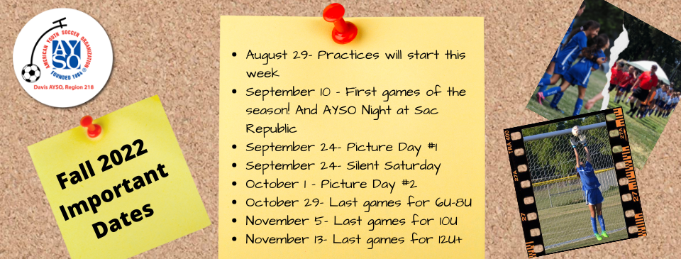 Home [www.davisayso.org]