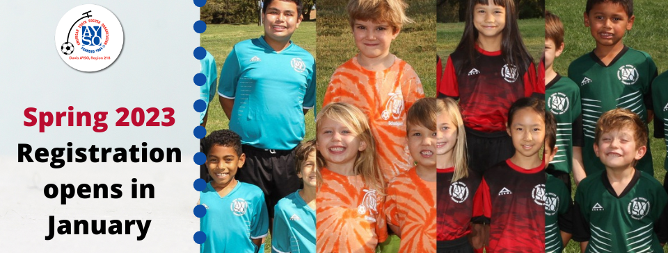 Home [www.davisayso.org]